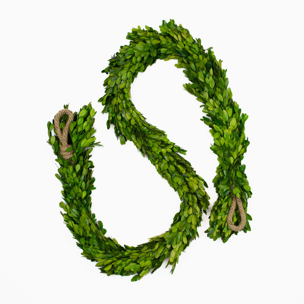 Preserved Boxwood Country Manor Garland – The Hare & The Hart