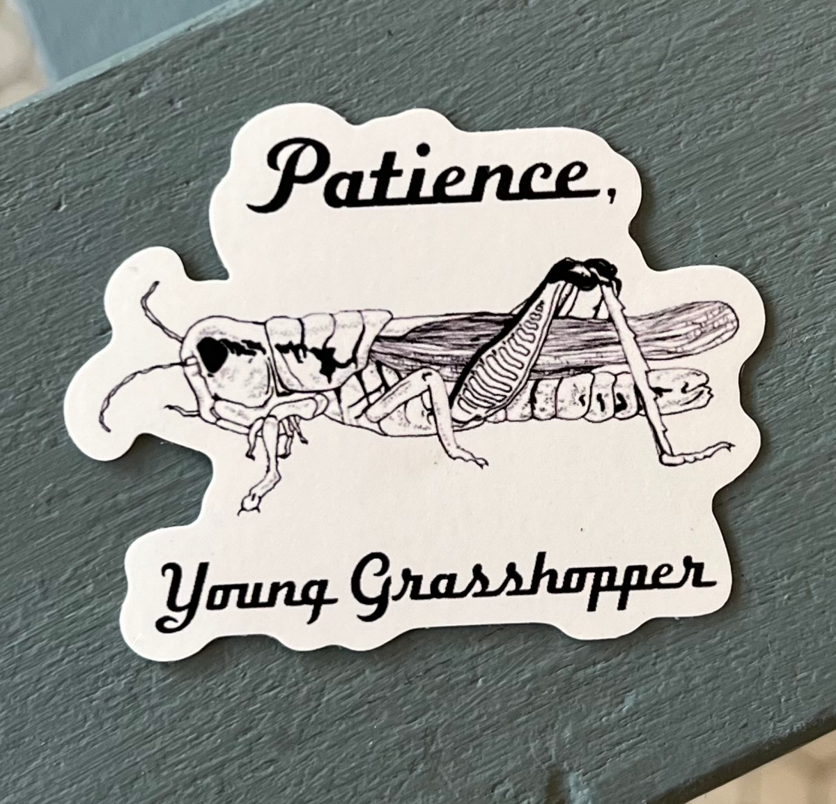 Sticker - "Patience Young Grasshopper" – The Hare & The Hart